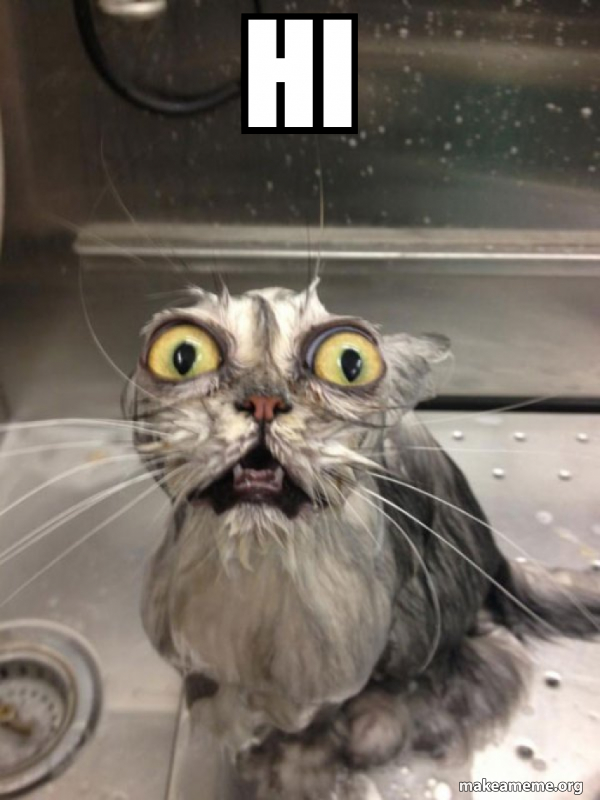 HI - Cat bath Meme Generator