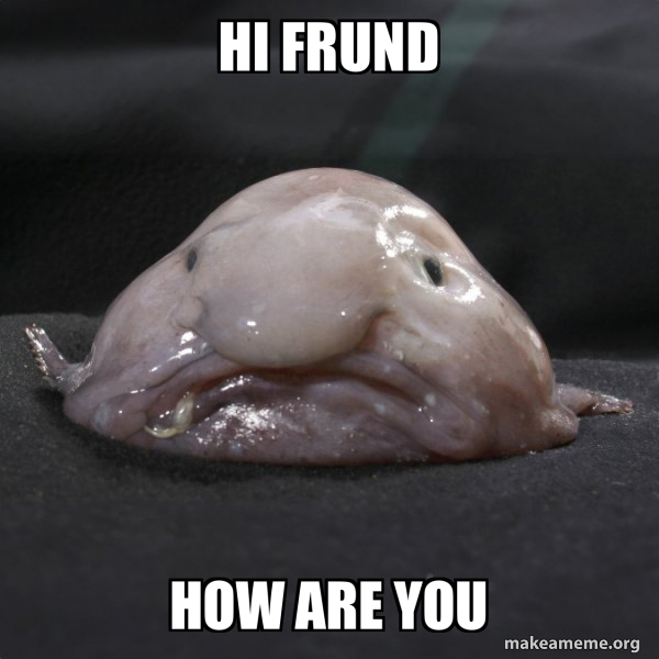 Hi frund How are you - Blobfish Meme Generator