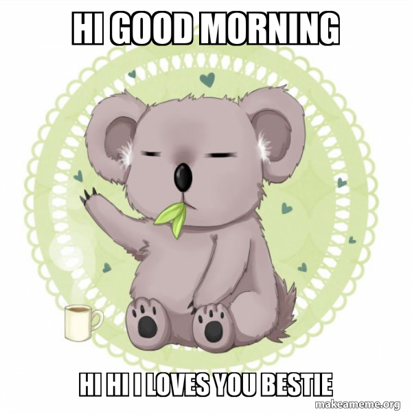 Hi good morning Hi Hi i loves you bestie - Aussie Koala doing the night ...