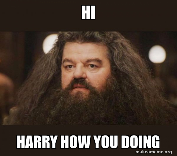 Hi Harry how you doing - Hagrid - I should not have said that | Make a Meme