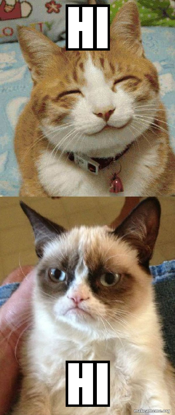 hi hi - Grumpy Cat vs Happy Cat Meme Generator