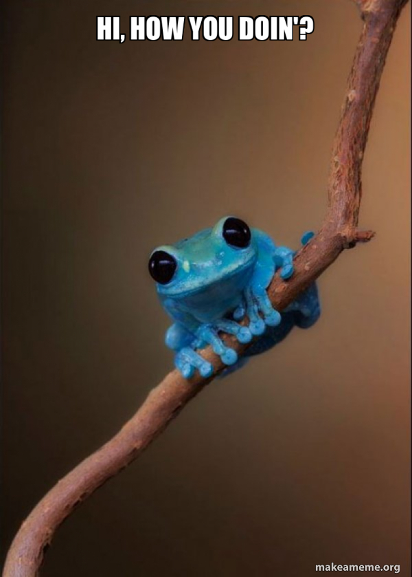 Hi, how you doin'? - Small Fact Frog Meme Generator
