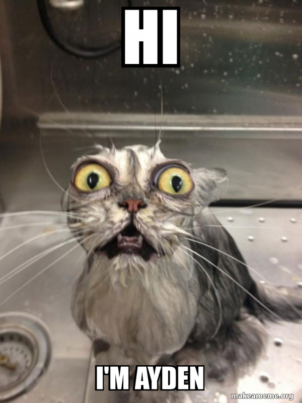 HI I'M AYDEN - Cat bath Meme Generator