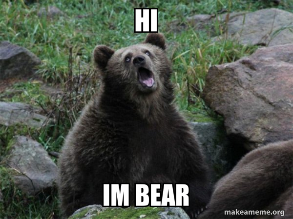 HI IM BEAR - Sarcastic Bear Meme Generator