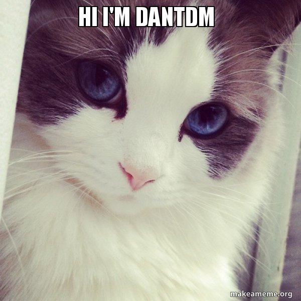 Hi I'm dantdm - Ridiculously Photogenic Cat Meme Generator