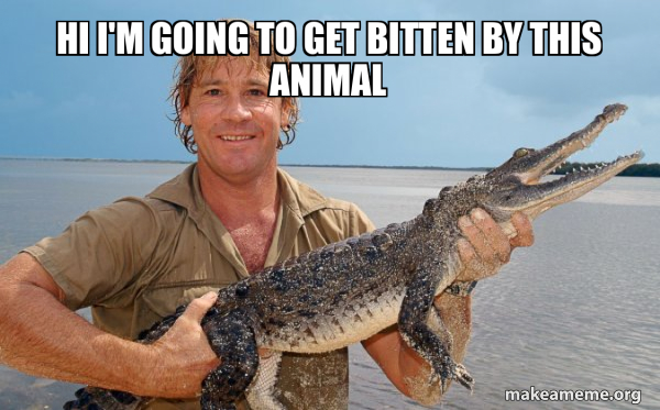 Hi i'm going to get bitten by this animal - Steve irwin Meme Generator