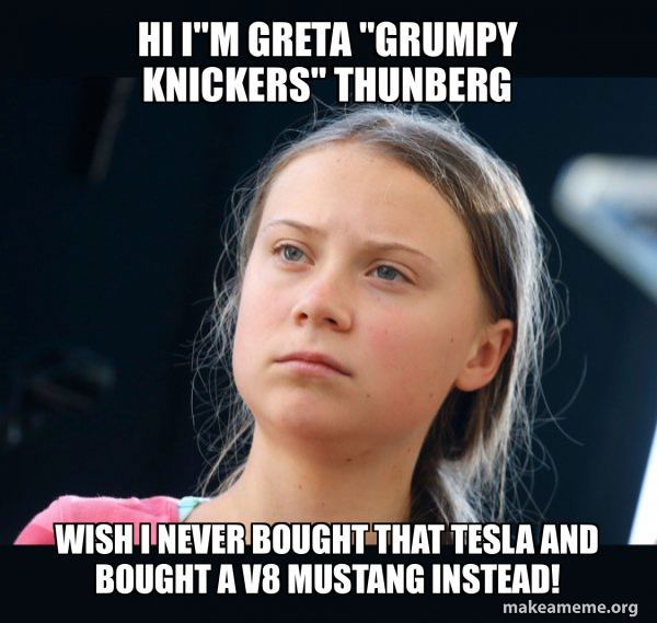 Hi I"m Greta "Grumpy Knickers" Thunberg Wish I never bought that Tesla ...