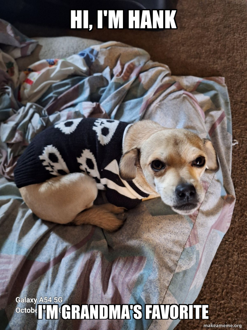 HI, I'm Hank I'M GRANDMA'S FAVORITE Meme Generator