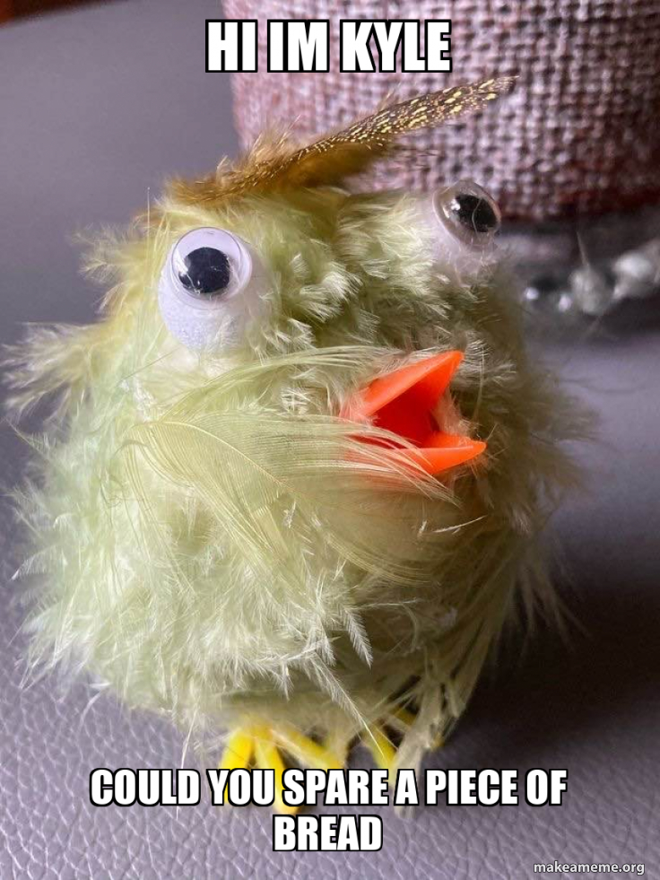 Hi im kyle Could you spare a piece of bread Meme Generator