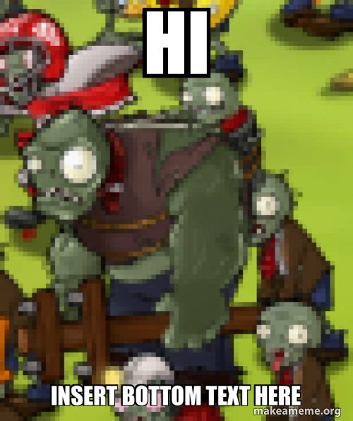 hi insert bottom text here Meme Generator