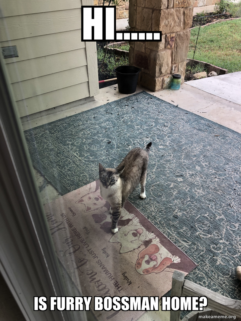 Hi…… Is furry bossman home? Meme Generator