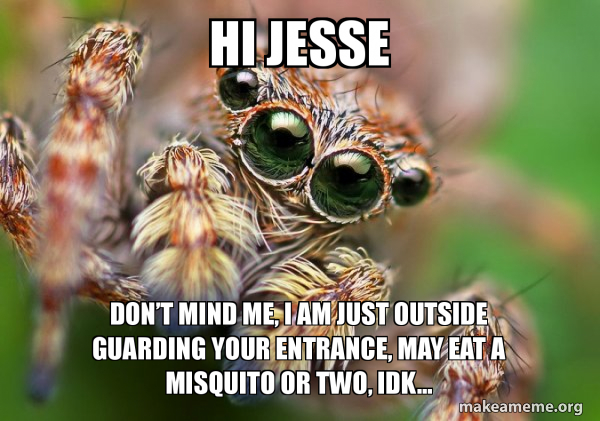 HI Jesse Donâ€™t mind me, I am just outside guarding your entrance, may ...