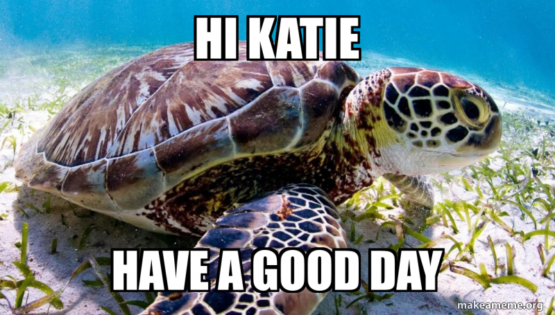 HI KATIE HAVE A GOOD DAY Meme Generator