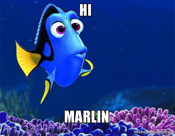 hi marlin - Dory from Nemo (5 second memory) Meme Generator
