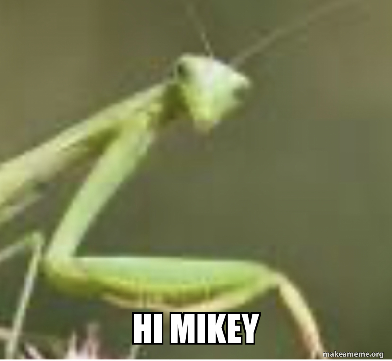 Hi mikey Meme Generator