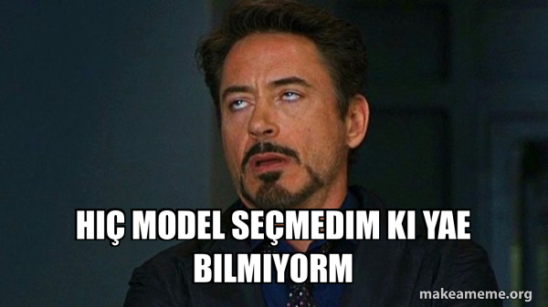Hiç model seçmedim ki yae bilmiyorm - Tony Stark Eye Roll Meme Generator