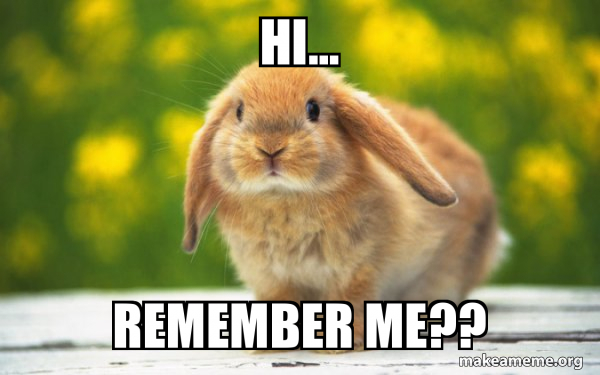 Hi... Remember Me?? - Regretful Rabbit Meme Generator