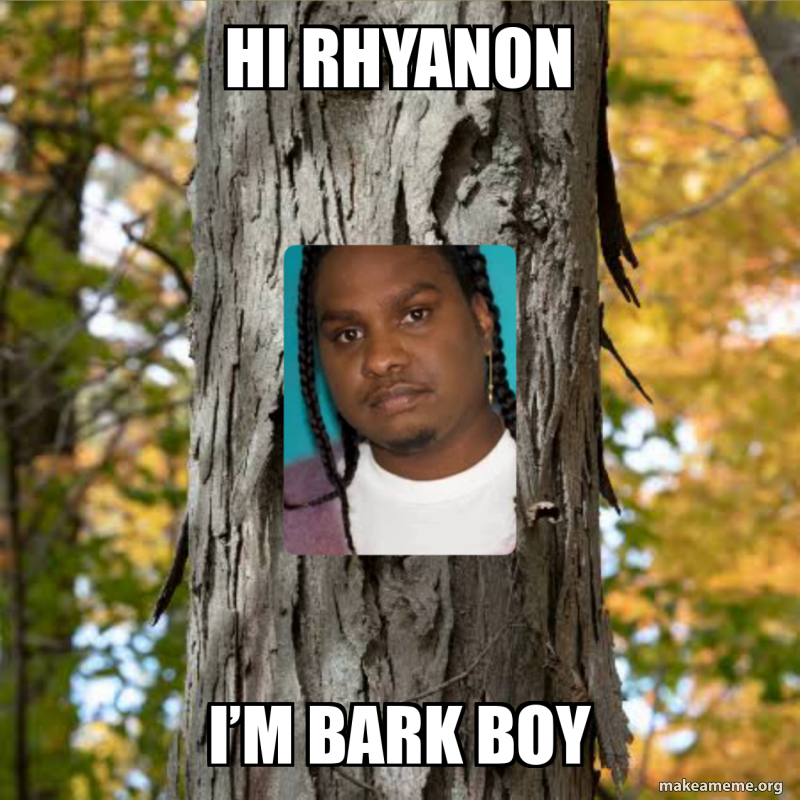 Hi Rhyanon I’m bark boy Meme Generator