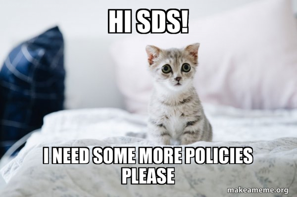 Hi SDS! I need some more policies please - Cute Kitten Meme Generator