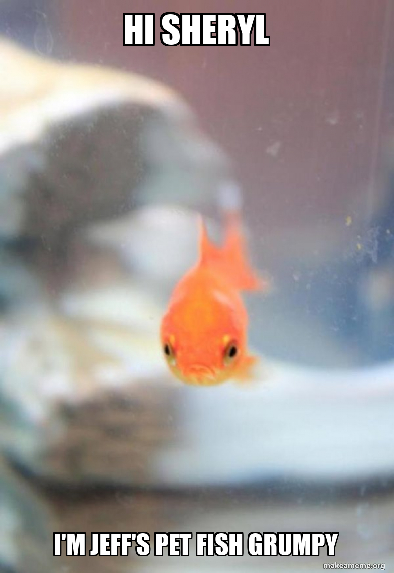 Hi sheryl I'm Jeff's pet fish Grumpy - Grumpy Fish Meme Generator