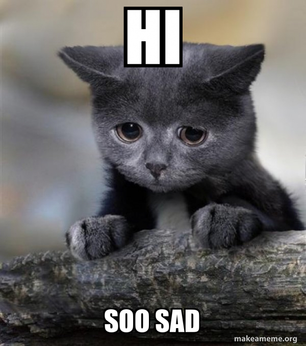 hi soo sad - Confession Cat Meme Generator