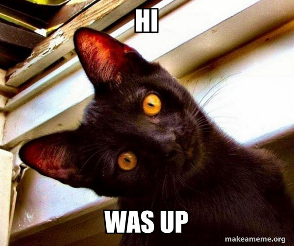 Hi Was up - Overly Attached Cat Meme Generator
