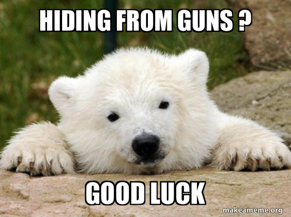Hiding From Guns ? Good Luck - Popular Opinion Bear Meme Generator