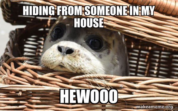 Hiding from someone in my house Hewooo - Impending Doom Seal Meme Generator