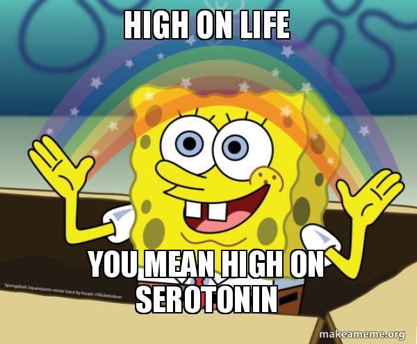 High on life you mean high on serotonin - Rainbow SpongeBob Meme Generator