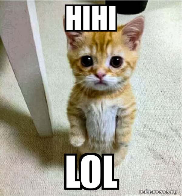 hihi lol - Cute Cat Standing Meme Generator