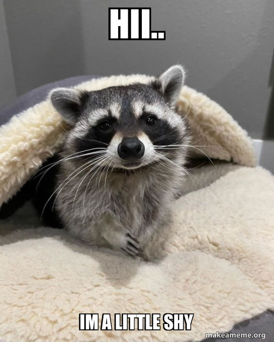 hii.. im a little shy Meme Generator