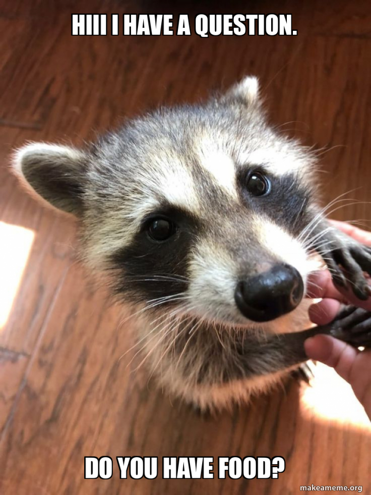 hiii i have a question. do you have food? Meme Generator