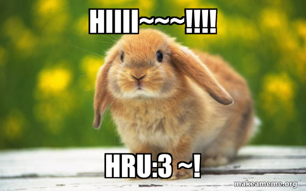 HIIII~~~!!!! HRU:3 ~! - Regretful Rabbit Meme Generator