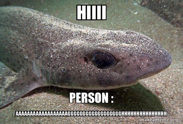 hiiii person : aaaaaaaaaaaaaaaaaagggggggggggggggggghhhhhhhhhhhhhhh ...