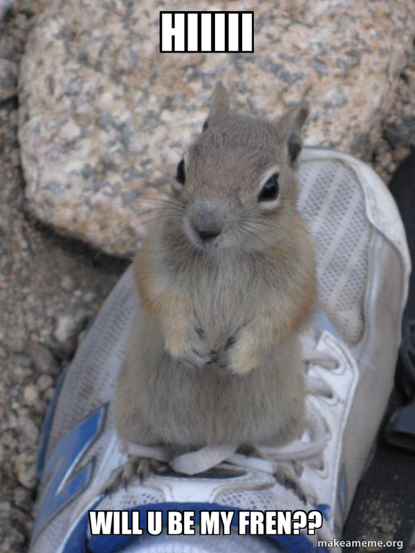 HIIIII WILL U BE MY FREN?? - Standover Squirrel Meme Generator