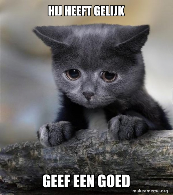 hij heeft gelijk geef een goed - Confession Cat Meme Generator