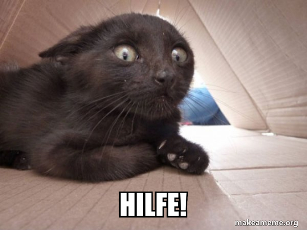 Hilfe! - Schitzo Cat Meme Generator