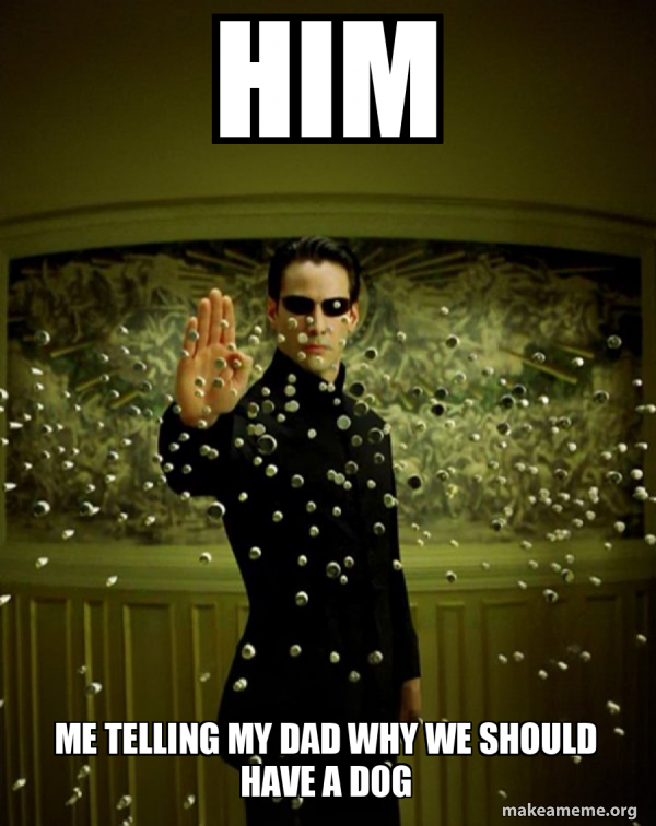 him me telling my dad why we should have a dog - Neo Stopping Bullets ...