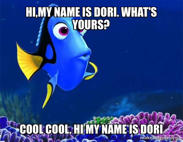 Hi,my name is Dori. What's yours? cool cool. Hi my name is dori - Dory ...