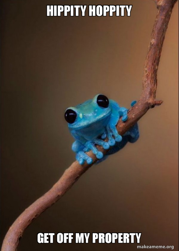 hippity hoppity get off my property - Small Fact Frog Meme Generator