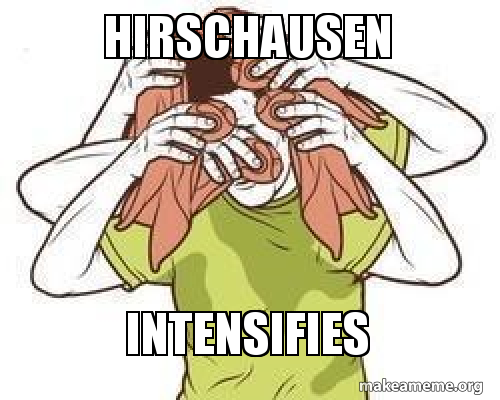 Hirschausen INTENSIFIES Meme Generator