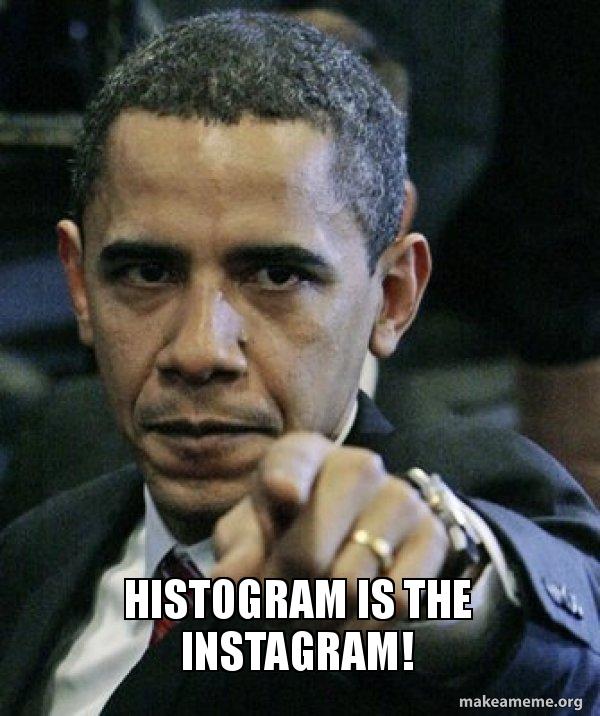 Histogram is the instagram! - Angry Obama Meme Generator