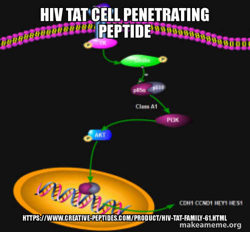 hiv tat cell penetrating peptide https://www.creative-peptides.com ...