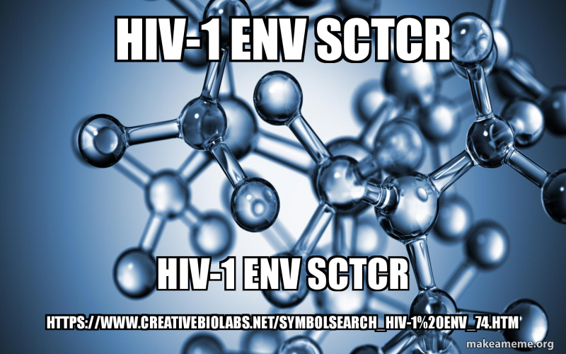 HIV-1 env scTCR HIV-1 env scTCR https://www.creativebiolabs.net ...