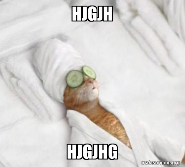 HJGJH HJGJHG - Pampered Cat Meme Meme Generator