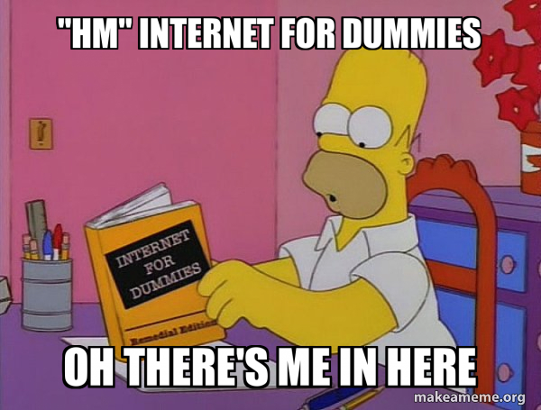 "hm" internet for dummies oh there's me in here - Internets Homer Meme ...