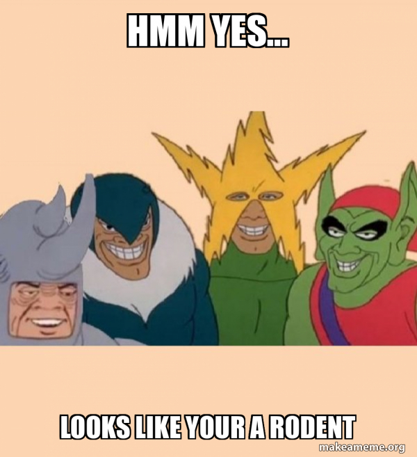 hmm yes... looks like your a rodent - Me and the Boys Meme Generator