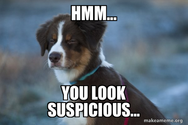 Hmm... You look suspicious... - Unsure Dog Meme Generator