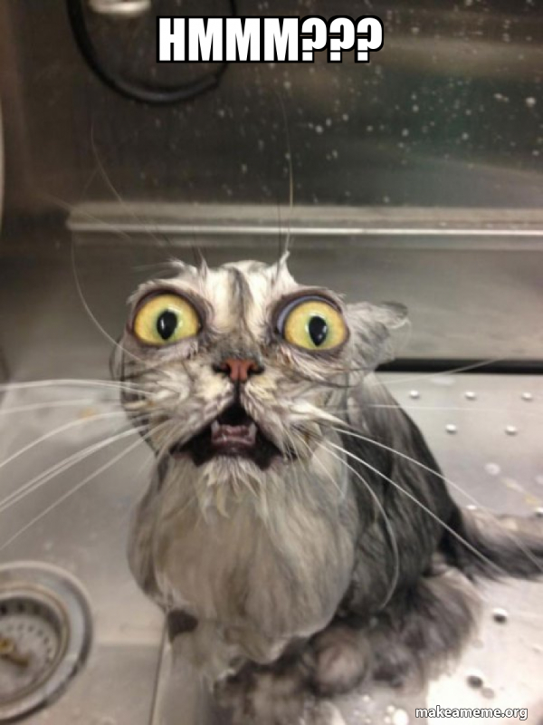 hmmm??? - Cat bath Meme Generator