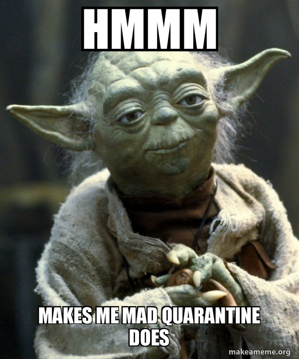 HMMM Makes me mad quarantine does - Yoda Meme Generator